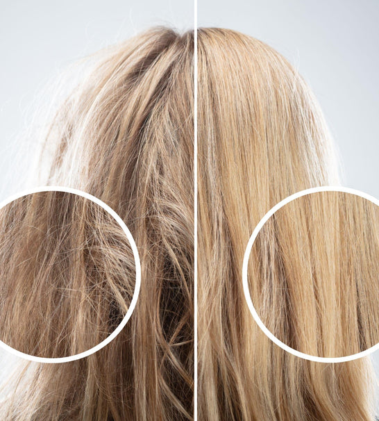 Ayurvedic Hair Care Products | Holistic Hair Wellness | Rthvi